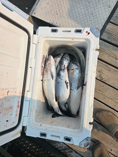 Knife River MN Coho Salmon Fishing Trip Fall Colors Lake Superior