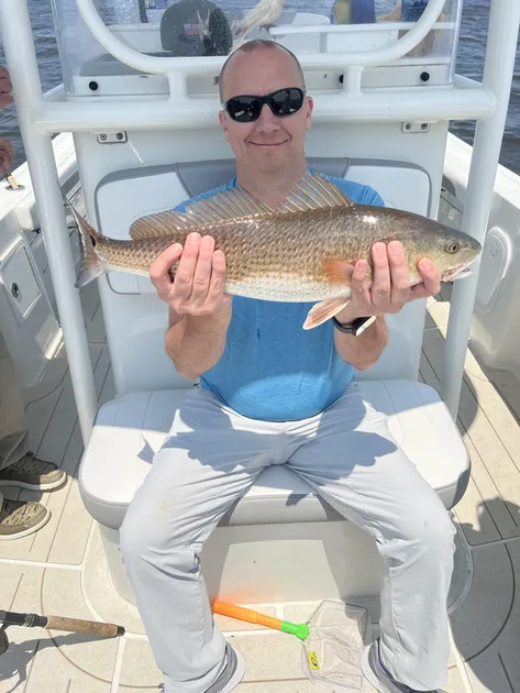 Red Drum Fishing Trip in Oriental NC Light Tackle Action