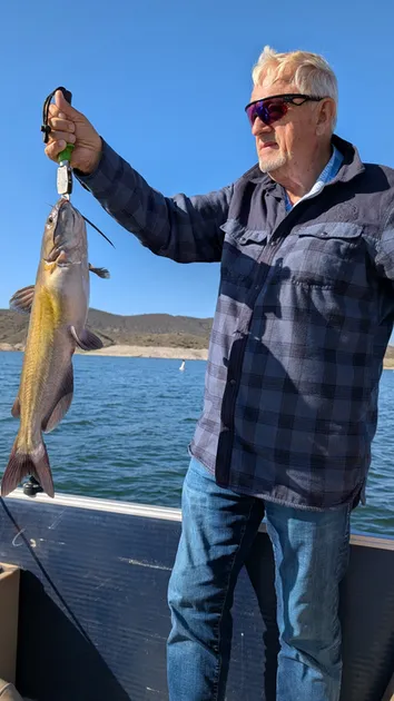 Channel Catfish Fishing Trip Morristown AZ Scorpion Bay