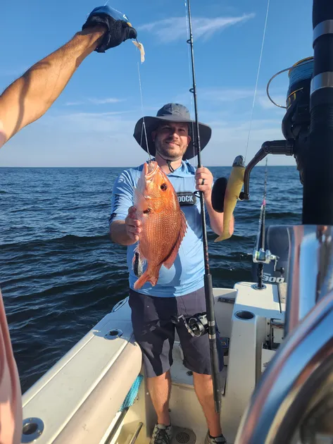 Gulf Shores Red Snapper Fishing Trip Lutjanus Campechanus Deep Sea ...