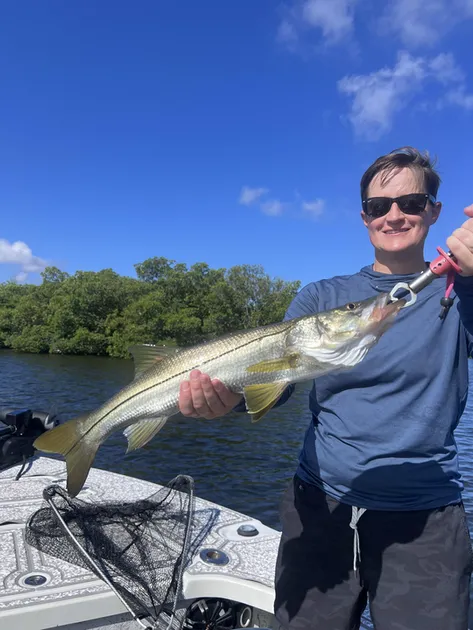 Riverview FL Snook Fishing: Expert Techniques for Trophy Catches