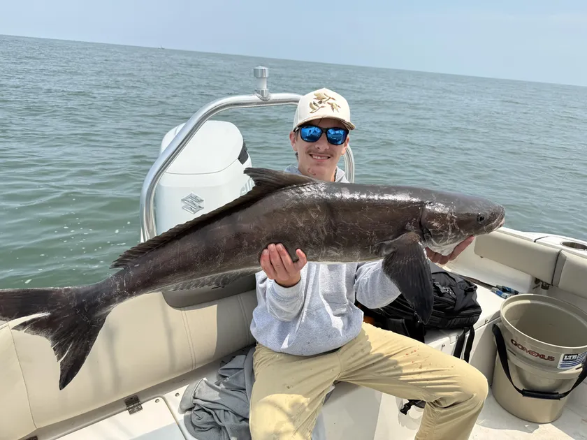 Virginia Beach Cobia Fishing Trip: Catch Trophy Fish on the Atlantic Coast